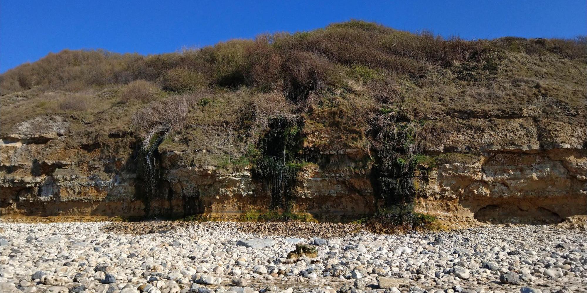Falaises des Roches Noires - Réseau des musées de Normandie